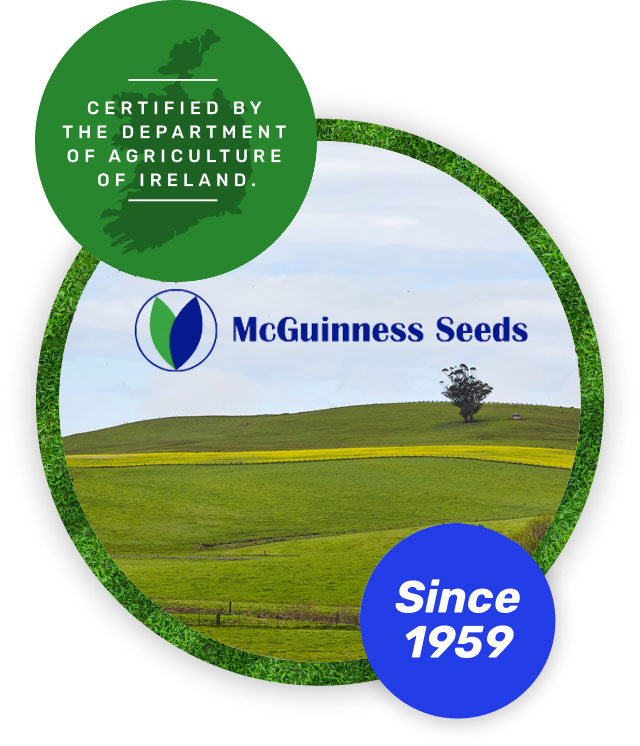 Grass and Lawn Seed Ireland